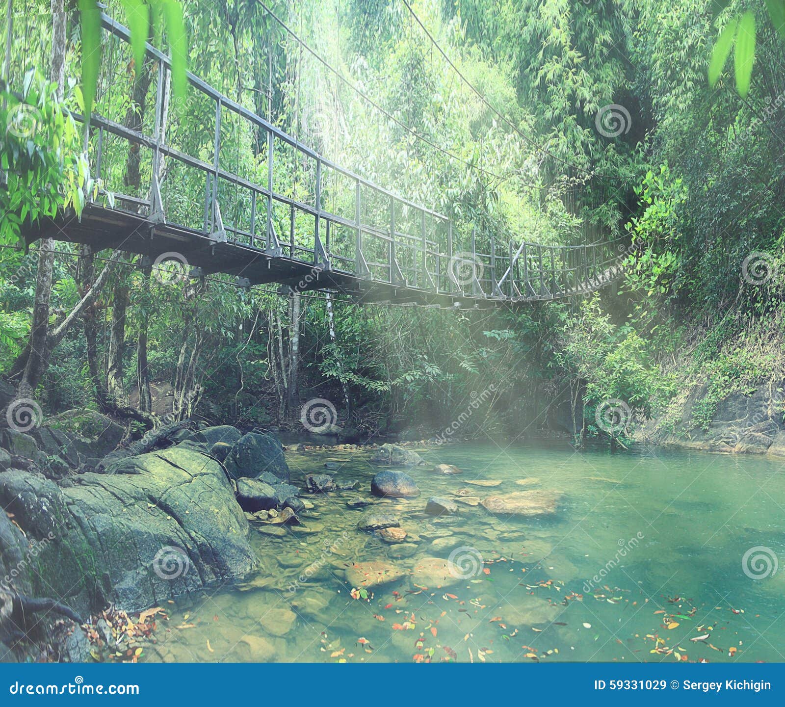 Bridge Over a River in the Jungle Stock Image - Image of mountain ...