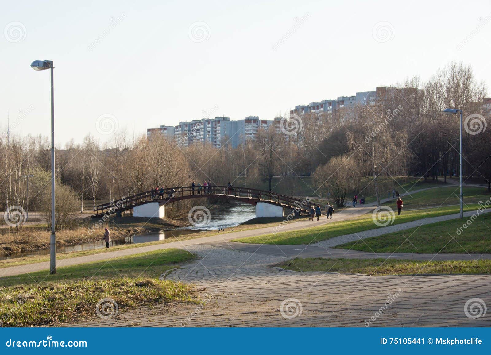 Bridge Over the River in the Park Stock Image - Image of town, park ...