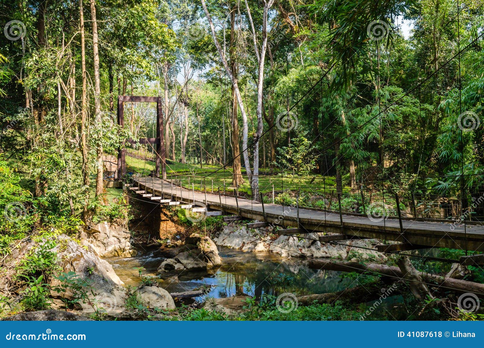 Bridge Over the River in the Rainforest Stock Photo - Image of hanging ...