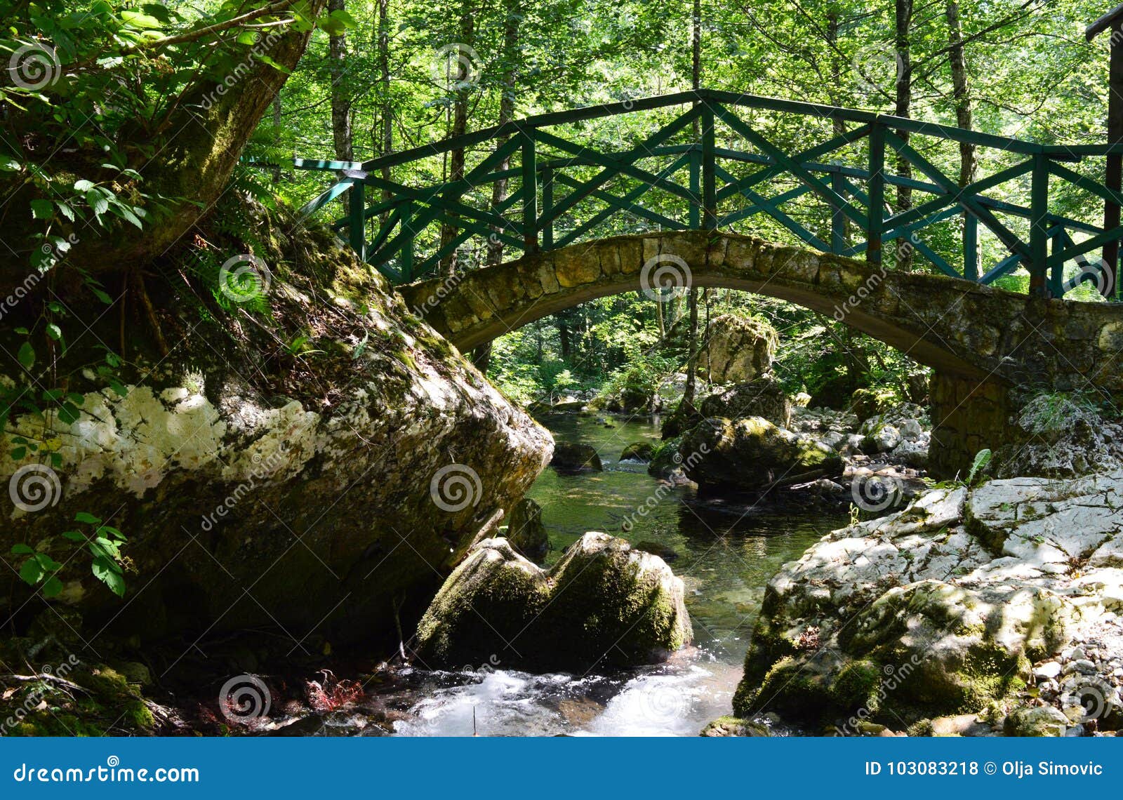 Bridge over the river stock photo. Image of forest, tree - 103083218