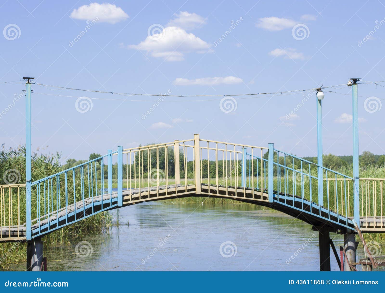 Bridge over the river stock photo. Image of small, bulrush - 43611868