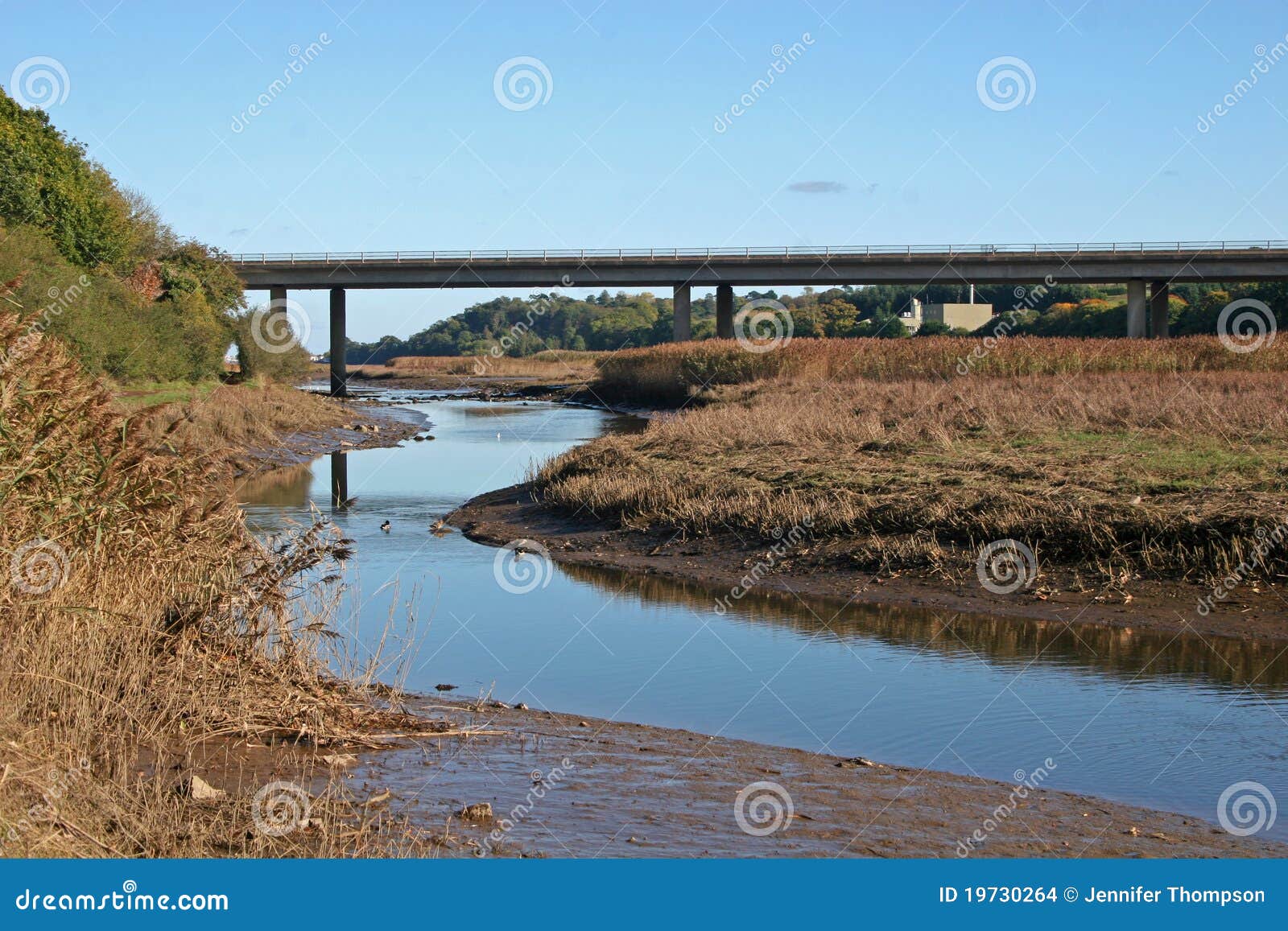 Bridge over River Teign stock photo. Image of country - 19730264