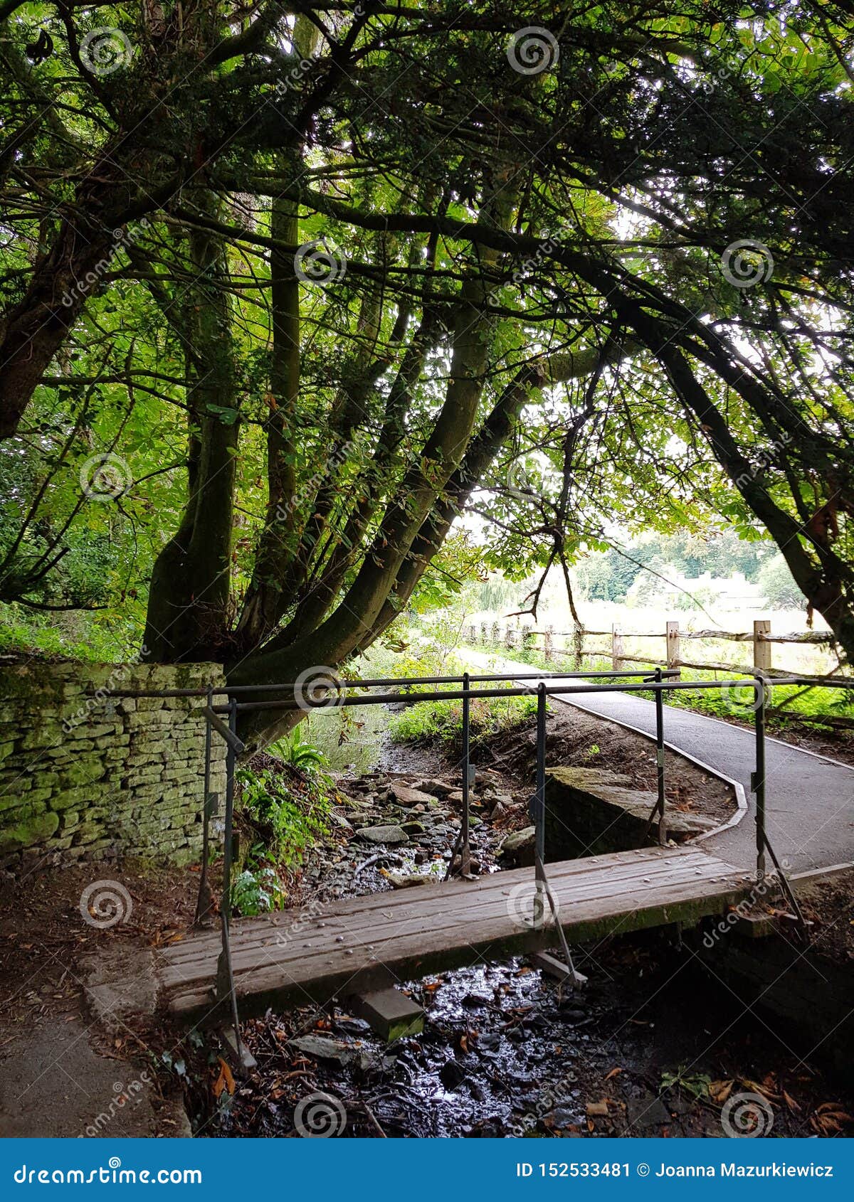 Bridge Over River and Trees Stock Image - Image of trees, greenery ...
