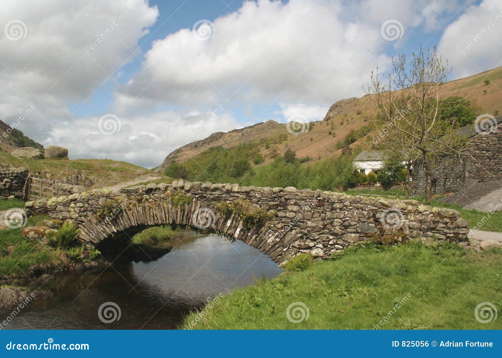 Bridge Over River At Watendlath Picture. Image: 825056