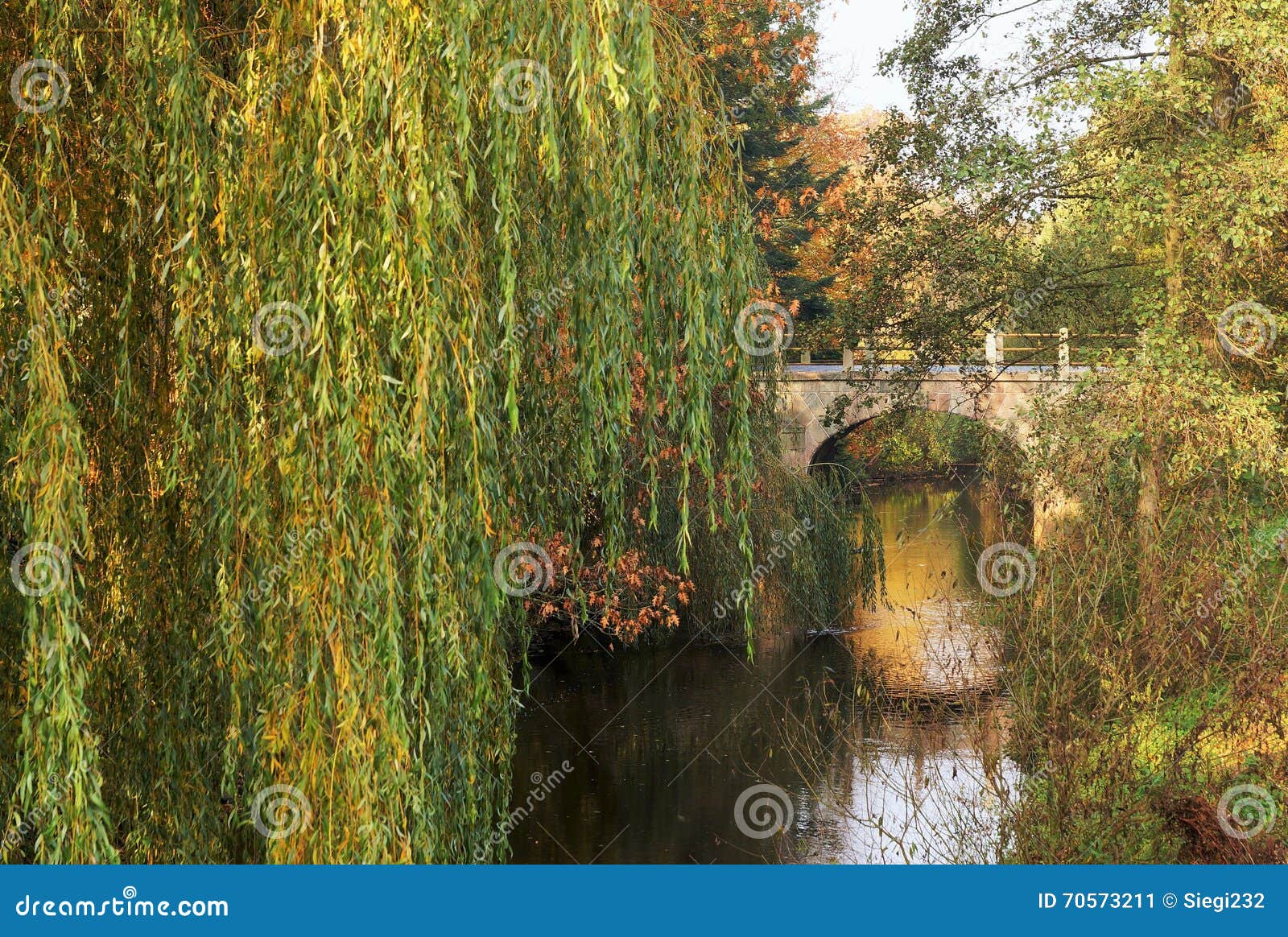 Bridge over a river stock image. Image of weeping, leaves - 70573211
