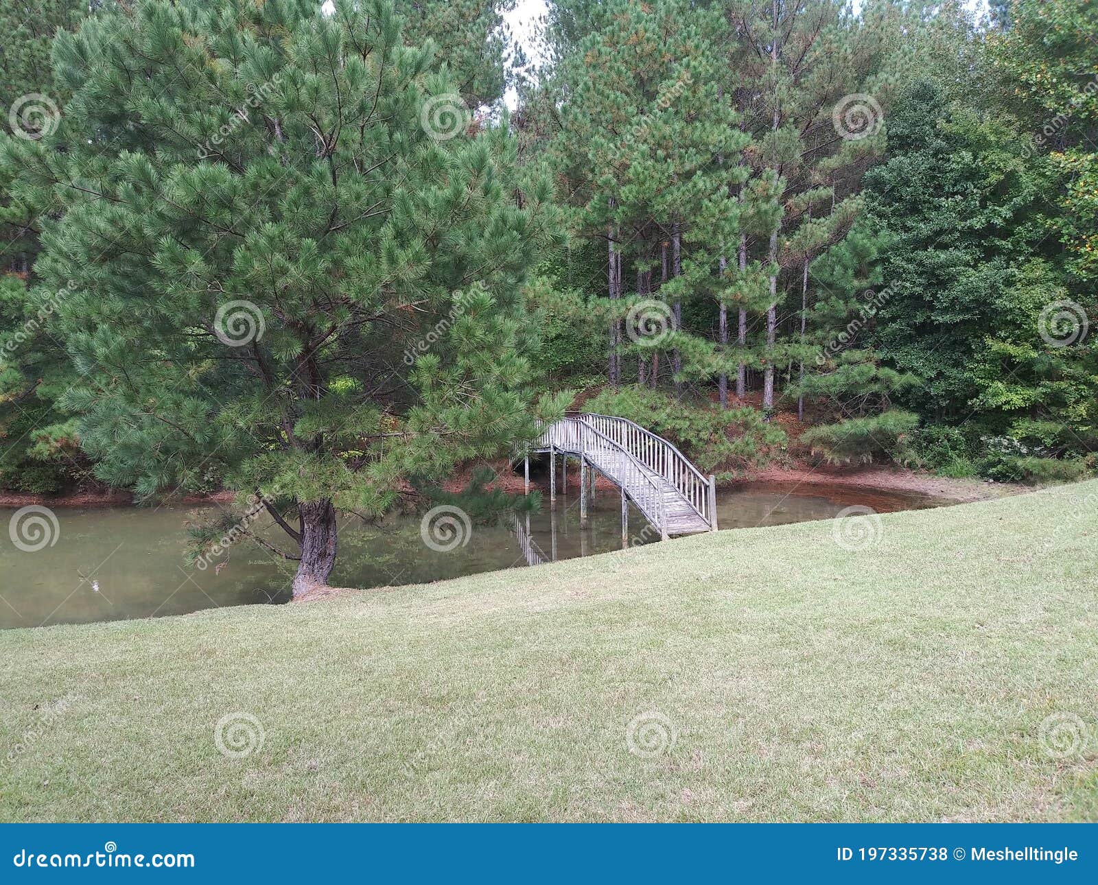 Bridge over small lake stock photo. Image of plant, property - 197335738