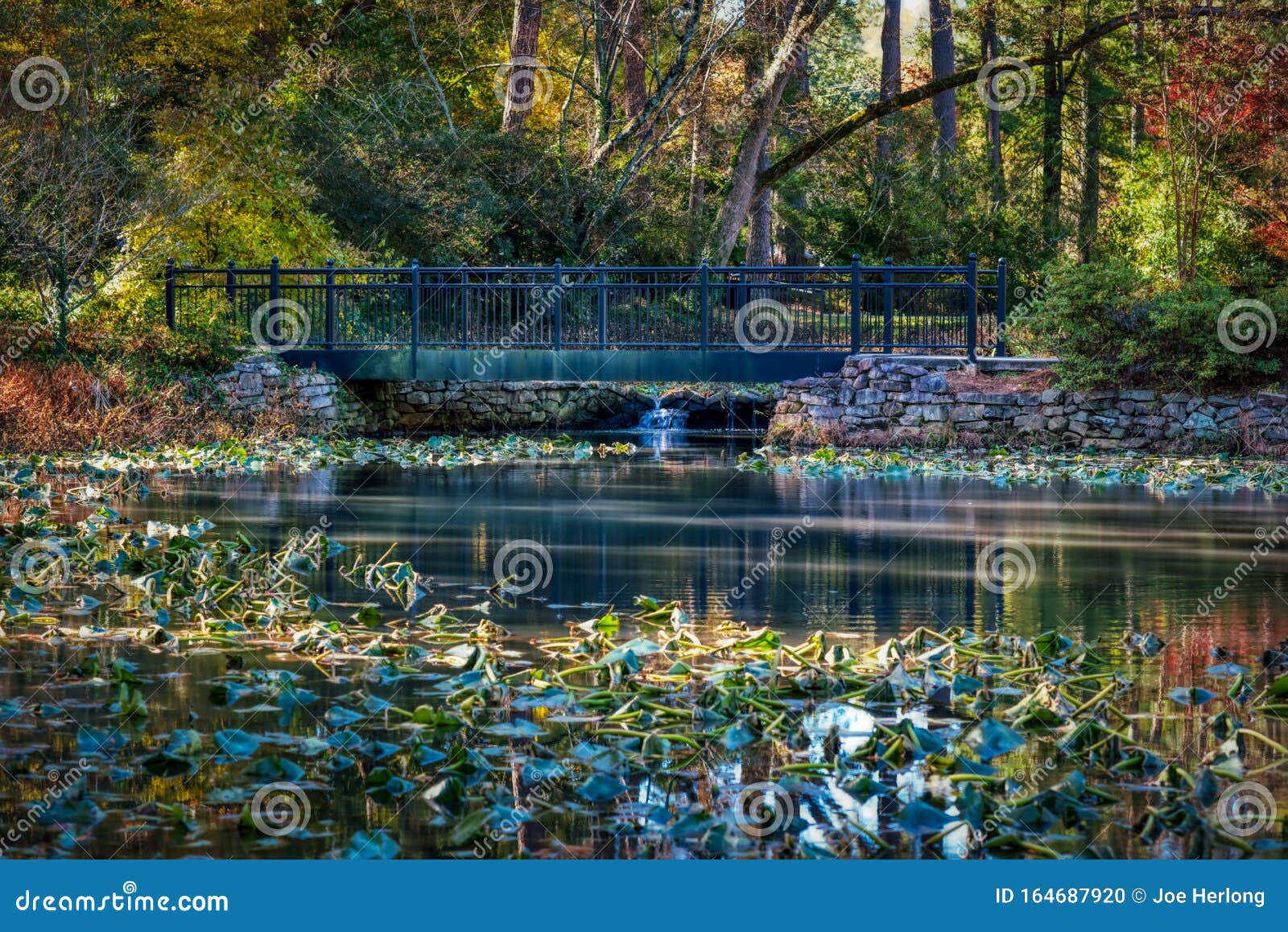 A Bridge Over a Small Pond. Stock Photo - Image of plants, pool: 164687920