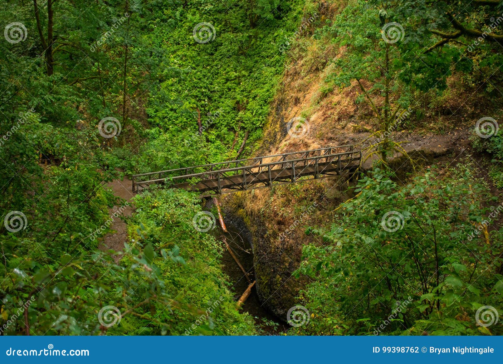 Bridge over small river stock photo. Image of small, landscape - 99398762