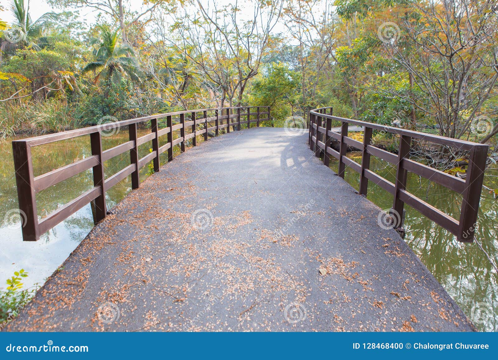 A bridge over a stream stock photo. Image of bridge - 128468400