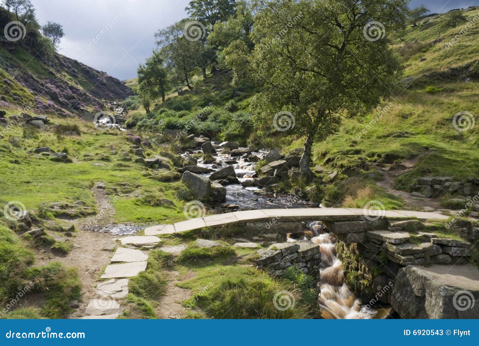 Bridge Over Stream at Bronte Falls Stock Image - Image of british ...