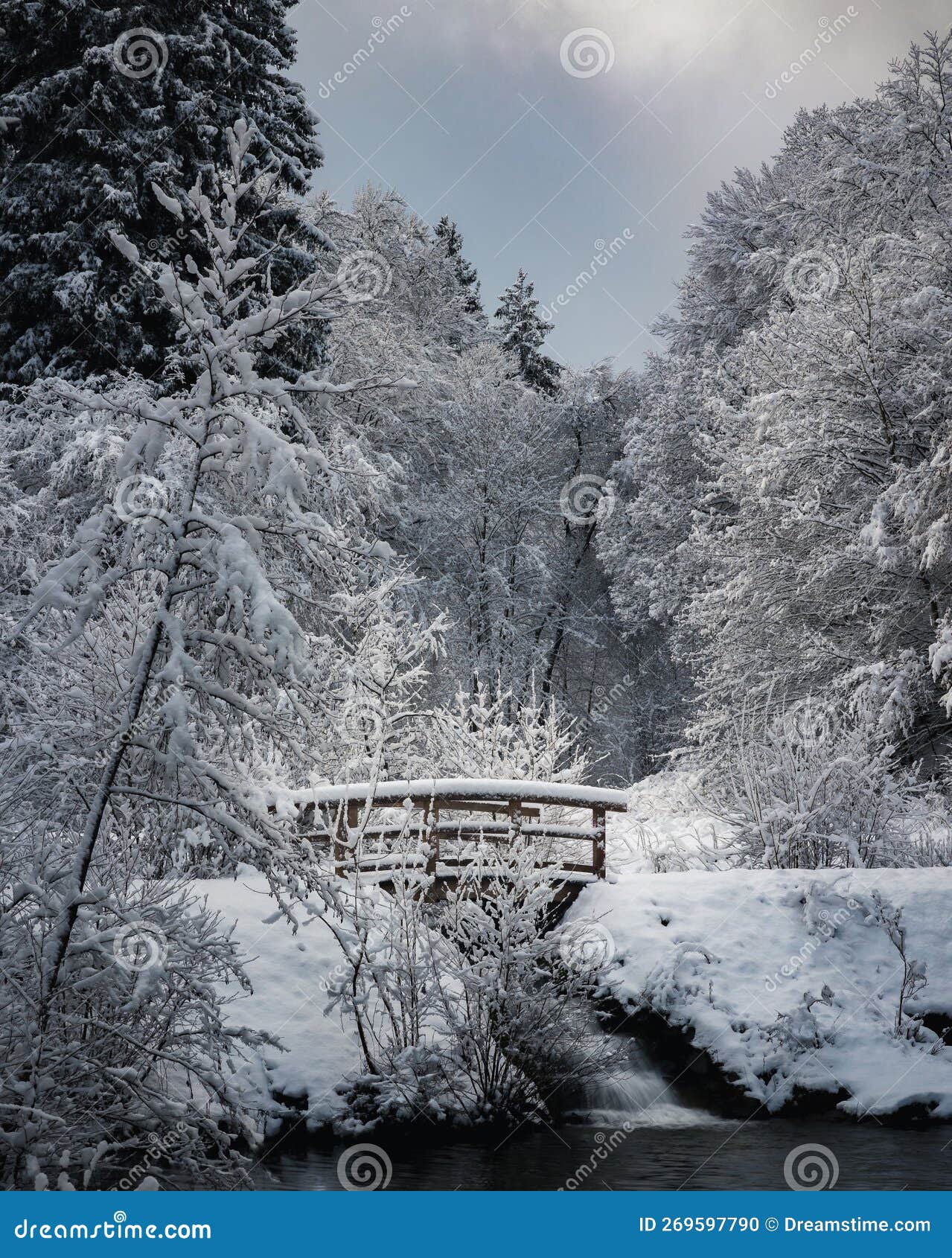 Bridge Over a Stream Covered in Snow by Trees Stock Photo - Image of ...