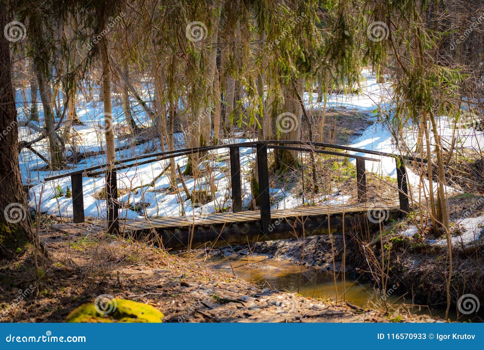 A Bridge Over a Stream in a Forest in a Spring Forest Stock Image ...