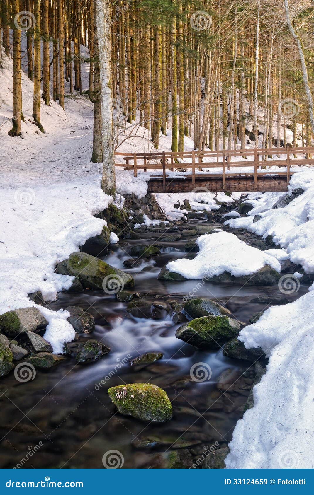 Bridge Over the Stream in the Natural Park Stock Image - Image of wild ...
