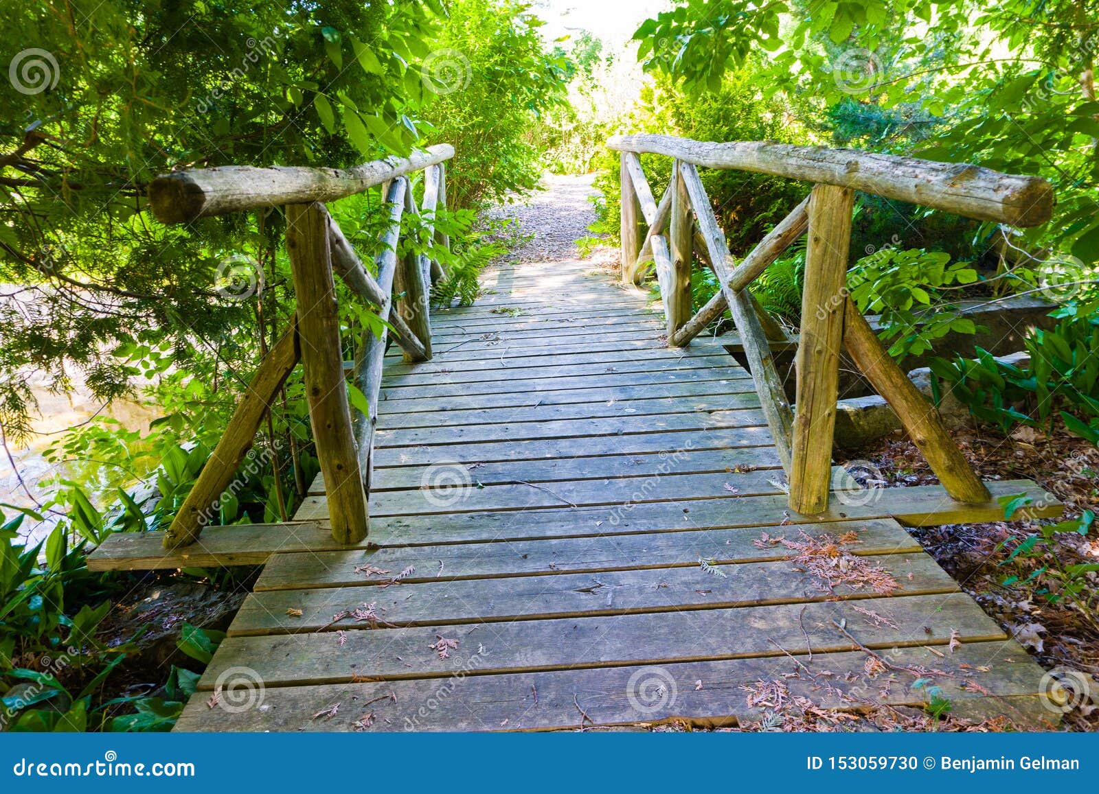 The Bridge Over the Stream with Railings of Logs Stock Photo - Image of ...