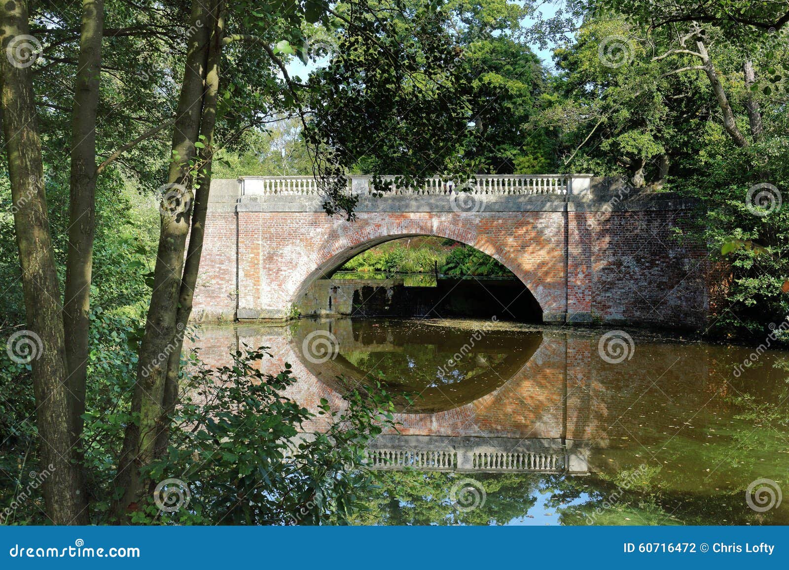 Bridge over a Stream stock photo. Image of flora, trees - 60716472
