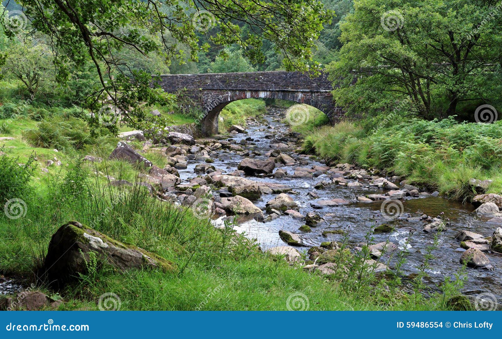 Bridge over a Stream stock photo. Image of arch, bridge - 59486554