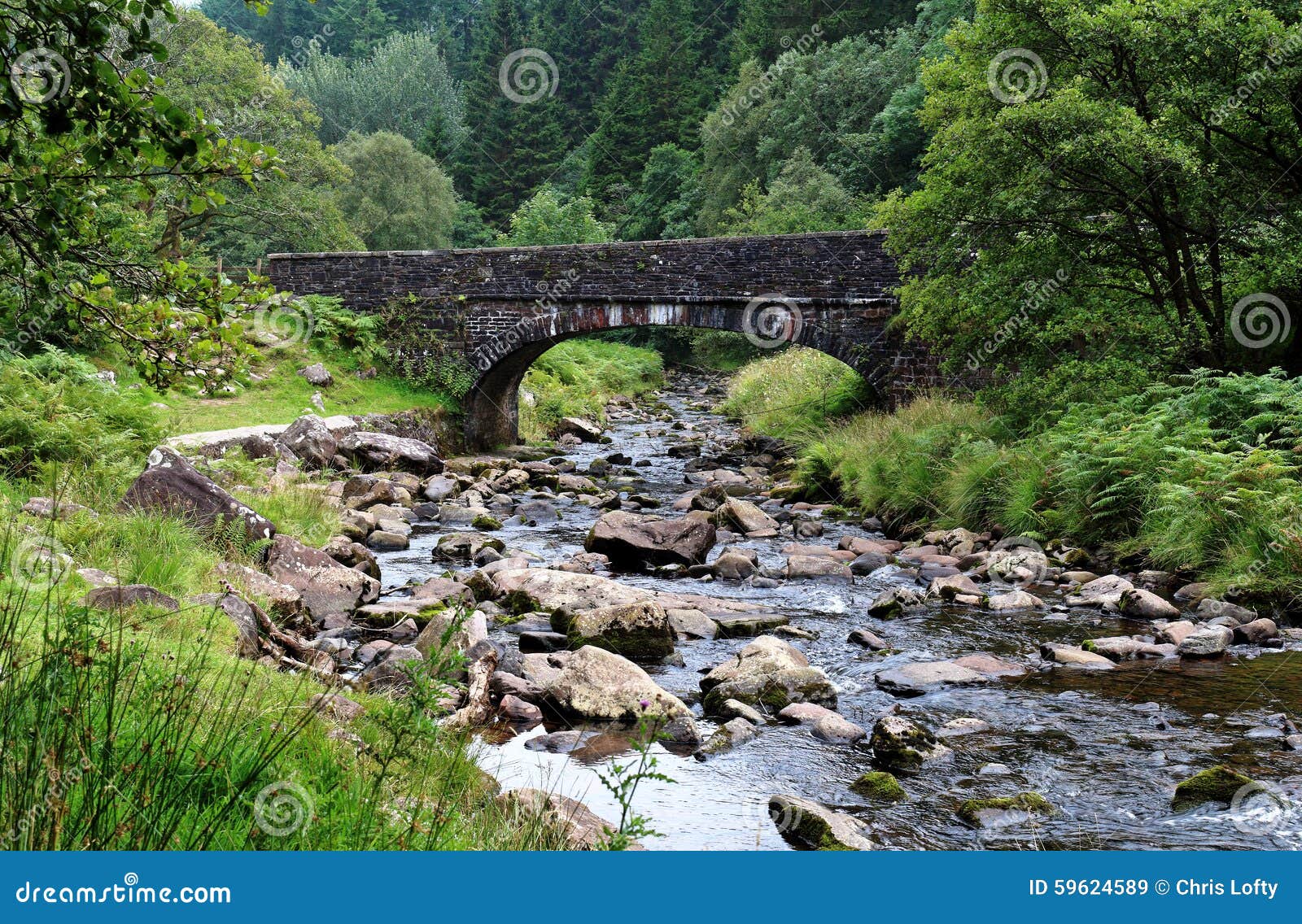 Bridge over a Stream stock image. Image of rocky, crossing - 59624589