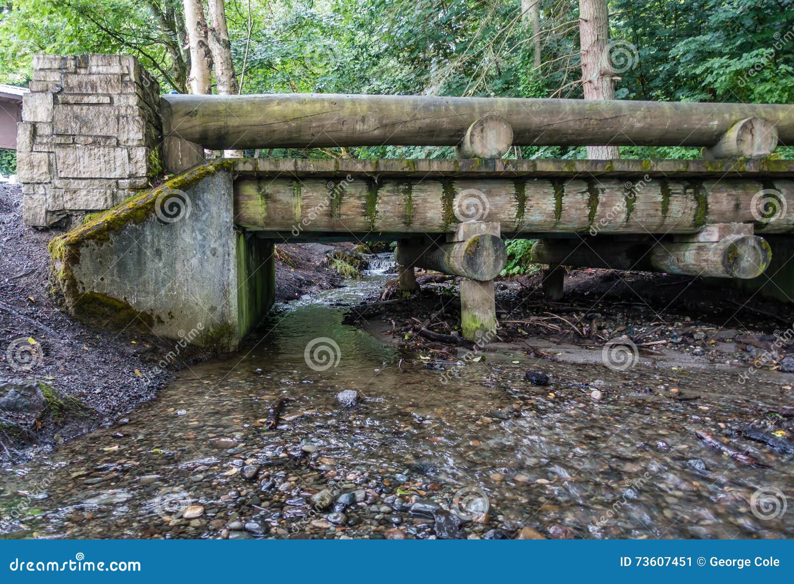 Bridge Over Stream stock image. Image of washington, pacific - 73607451