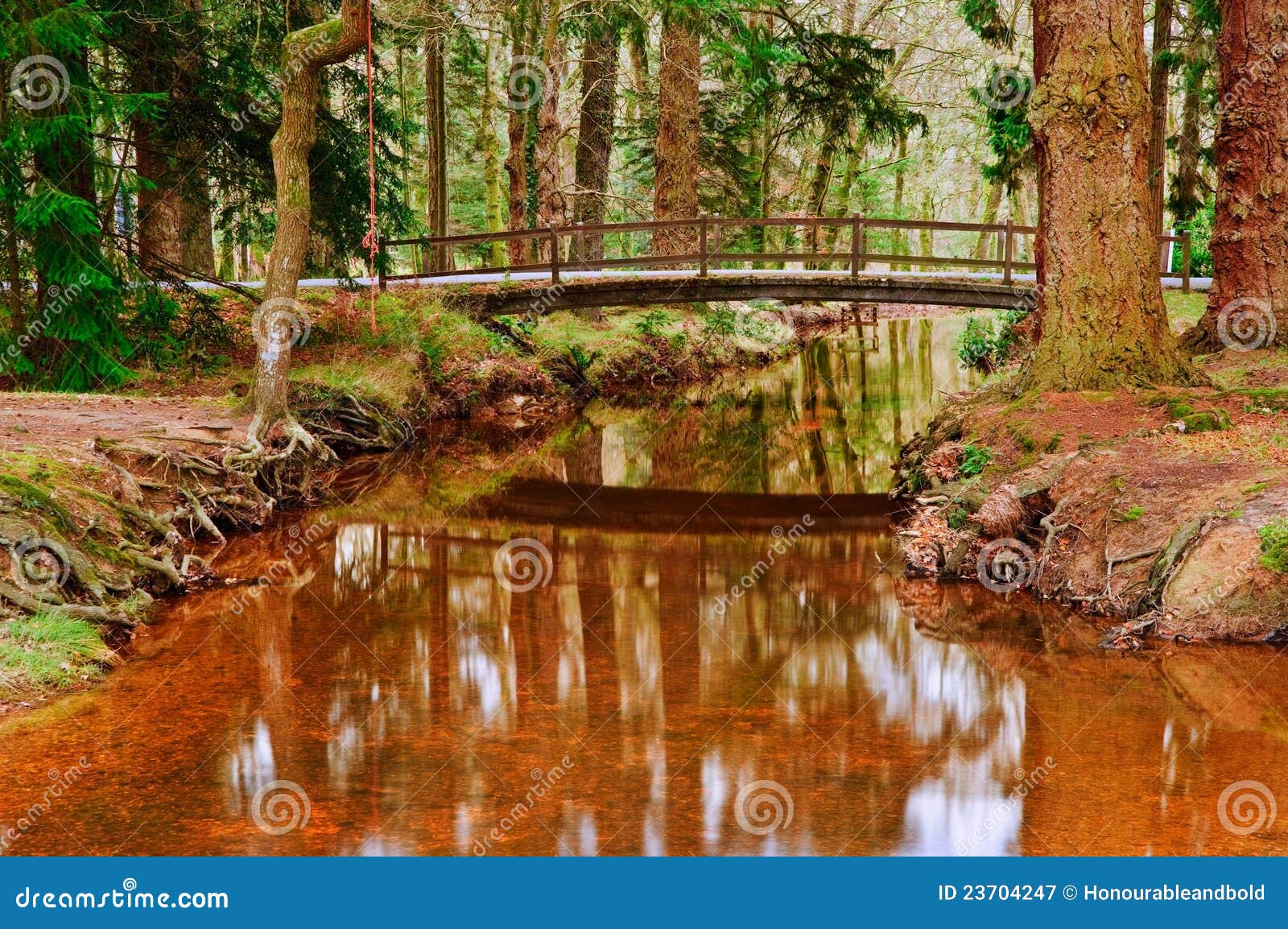 Bridge Over Stream in Winter Autumn Fall Forest Stock Image - Image of ...