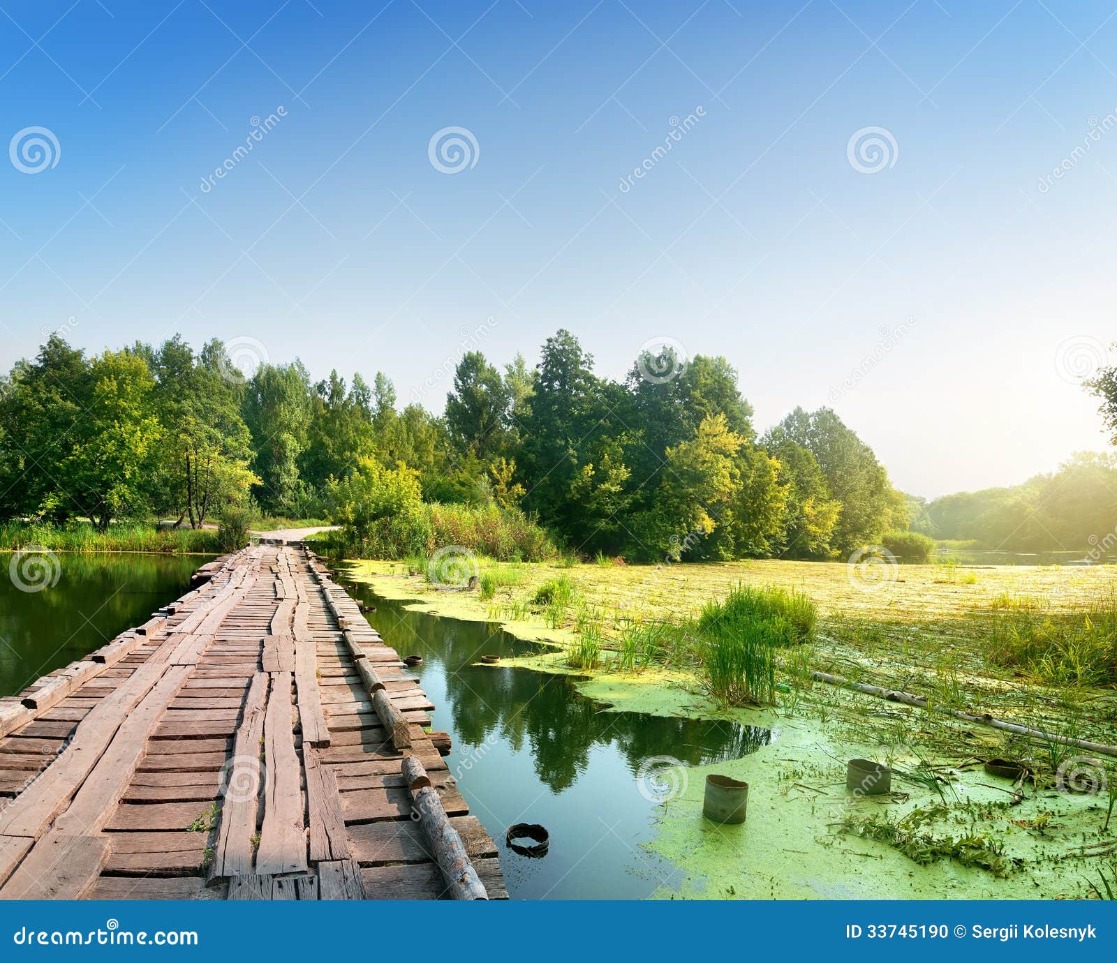 Bridge over a swampy river stock photo. Image of countryside - 33745190