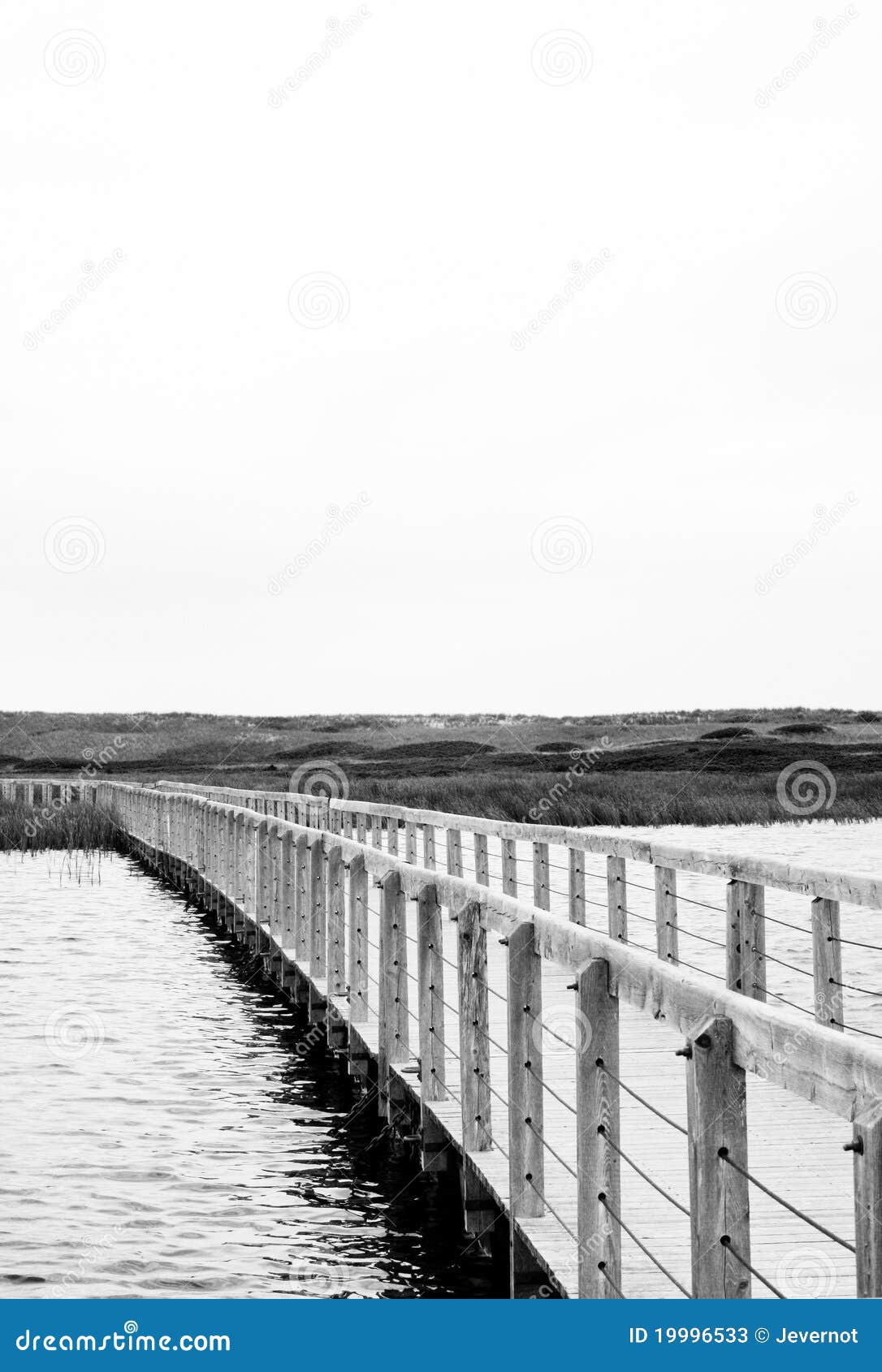 Bridge Over Water stock image. Image of nature, season - 19996533