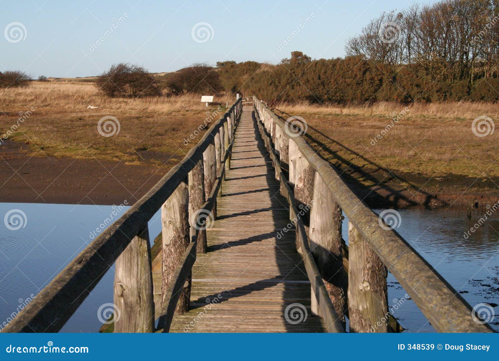 Bridge Over Water stock image. Image of shadows, tree, springtime - 348539