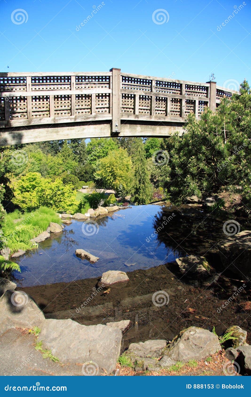 Bridge over water stock image. Image of tree, landscape - 888153