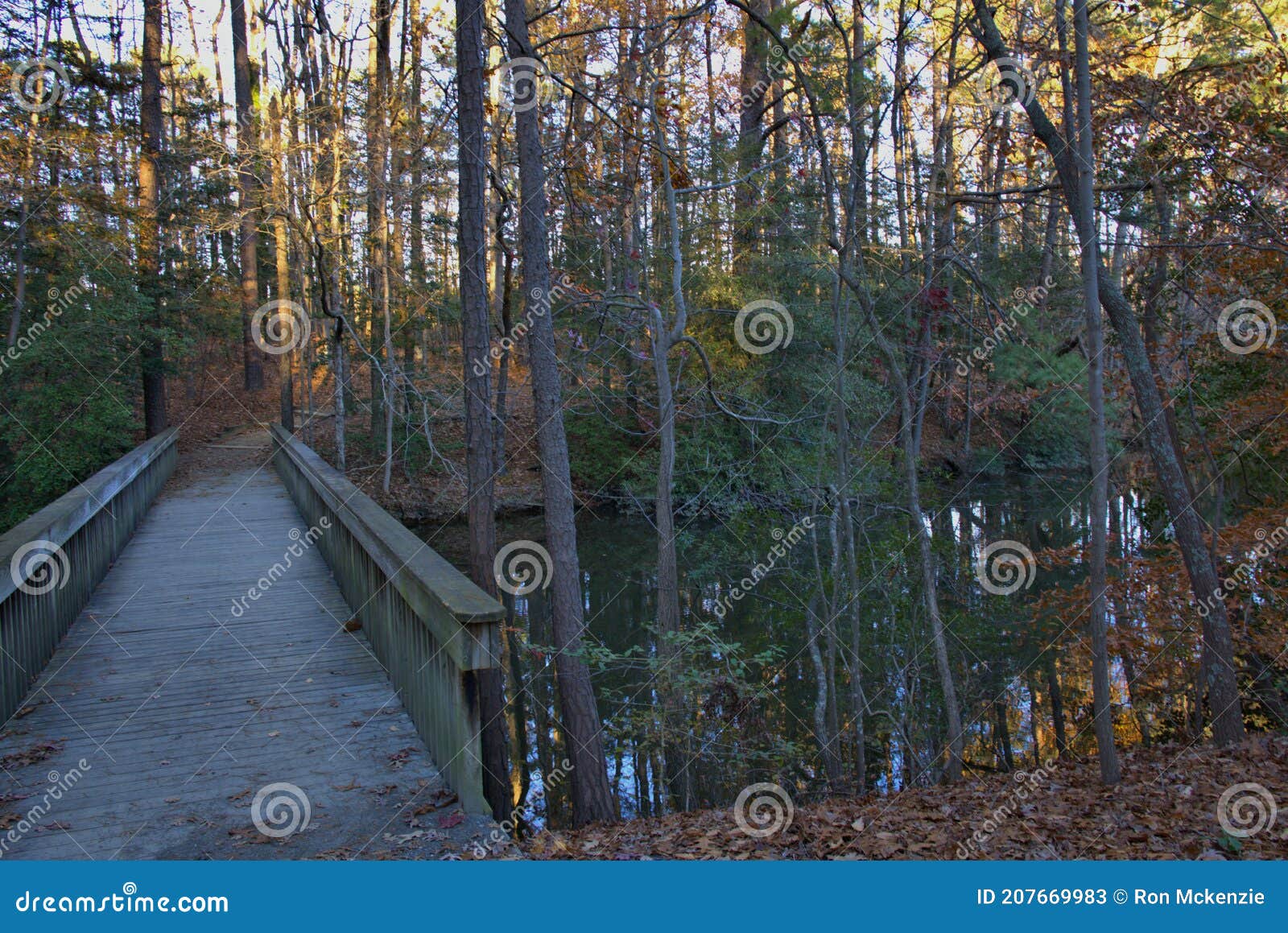 Bridge over the water stock image. Image of hike, hill - 207669983