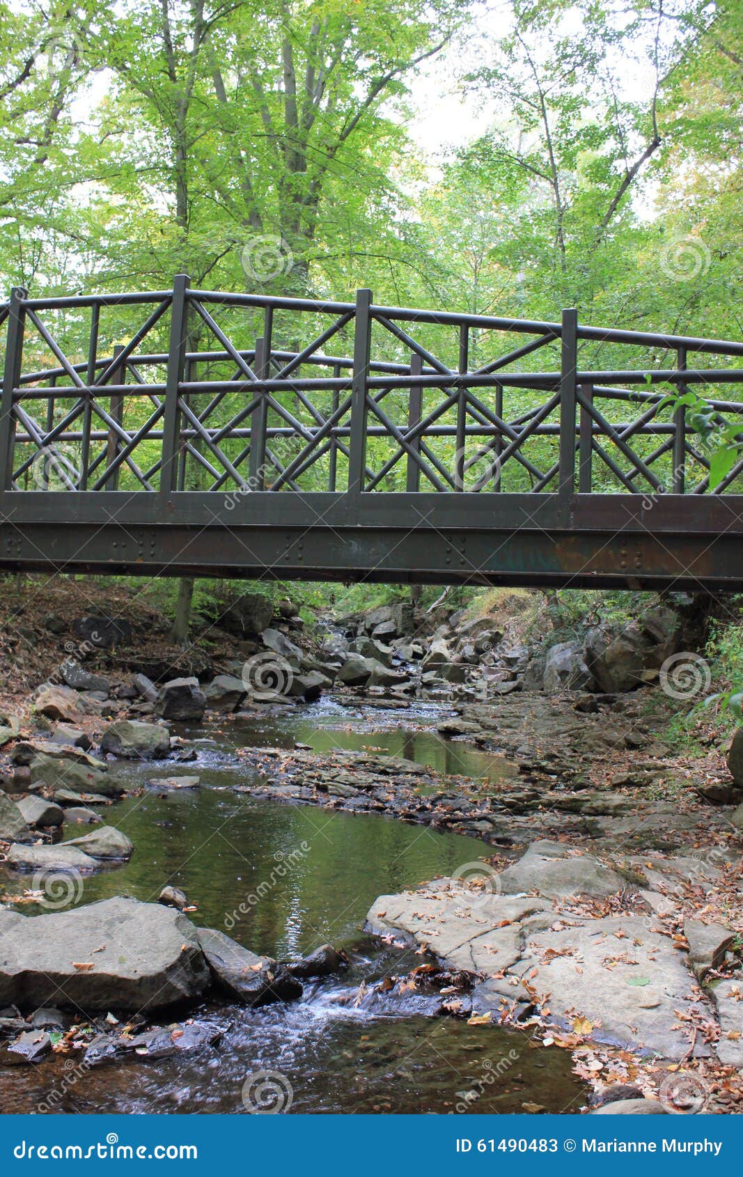 Bridge over water stock image. Image of trees, water - 61490483