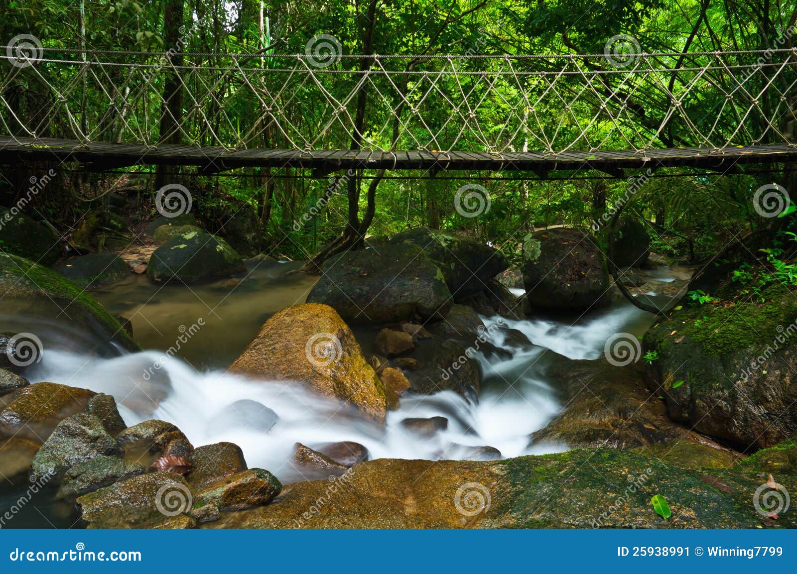 Bridge over the waterfall stock image. Image of nature - 25938991