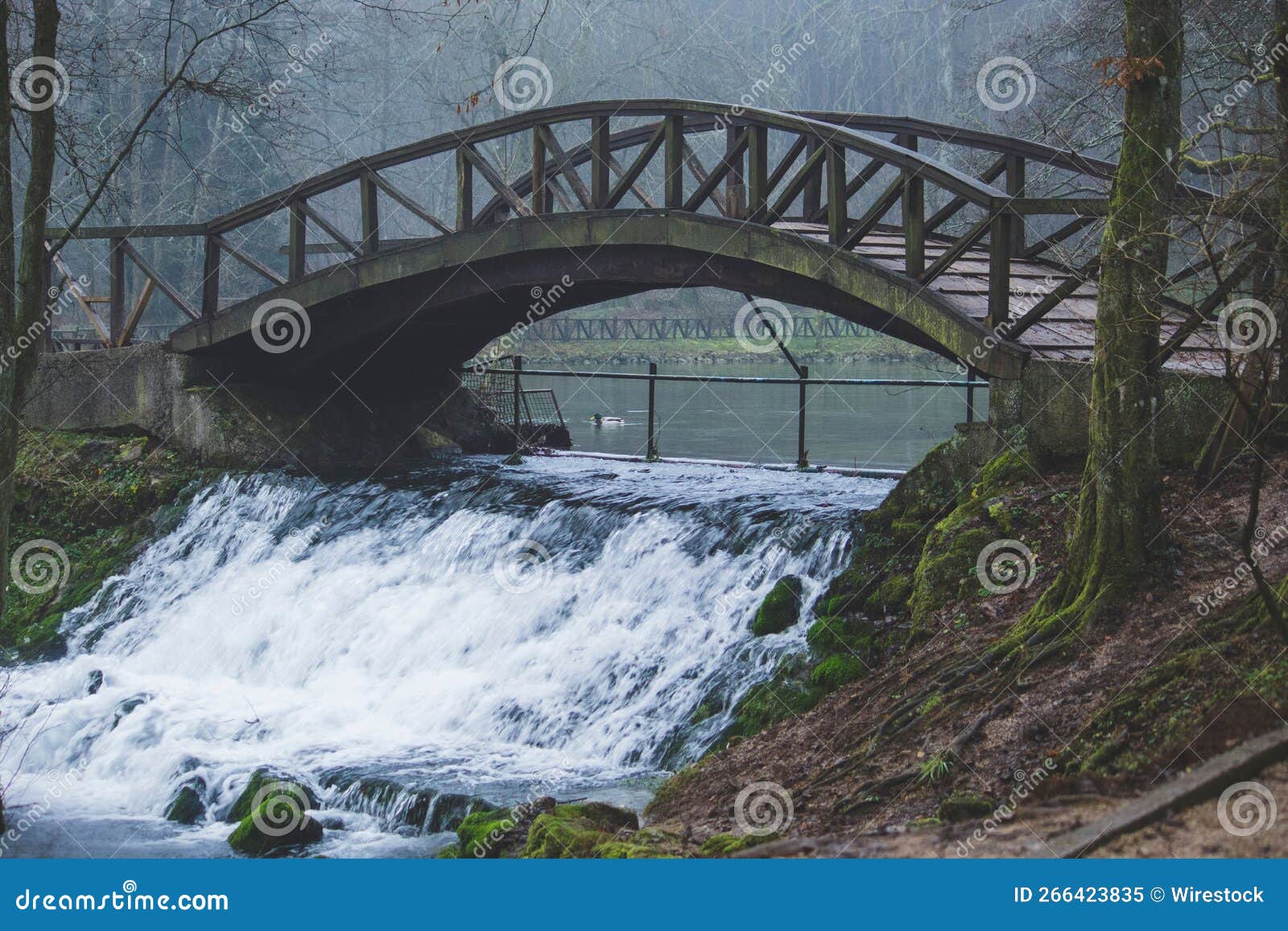 Bridge Over the Waterfall between the Deciduous Trees Stock Image ...