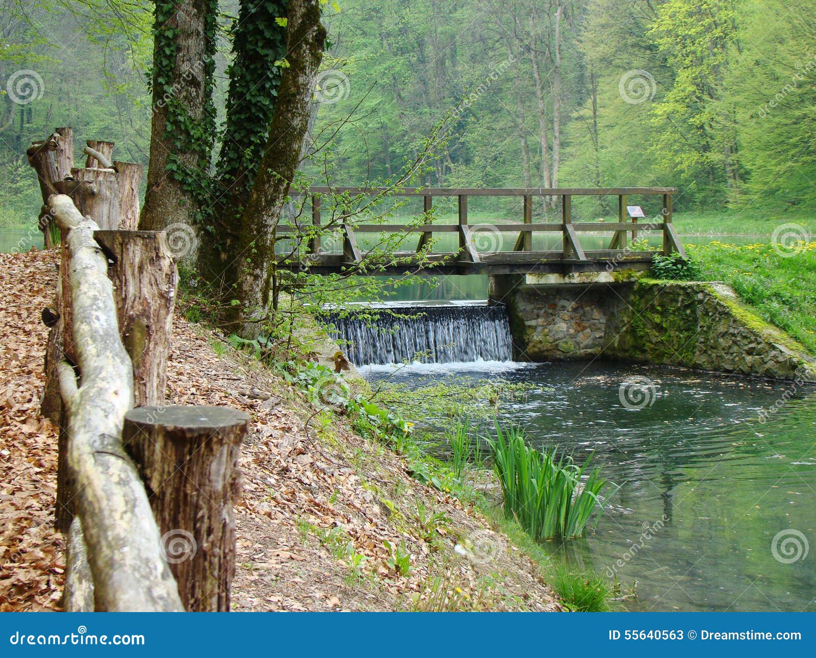 Bridge over waterfall stock image. Image of foliage, trails - 55640563