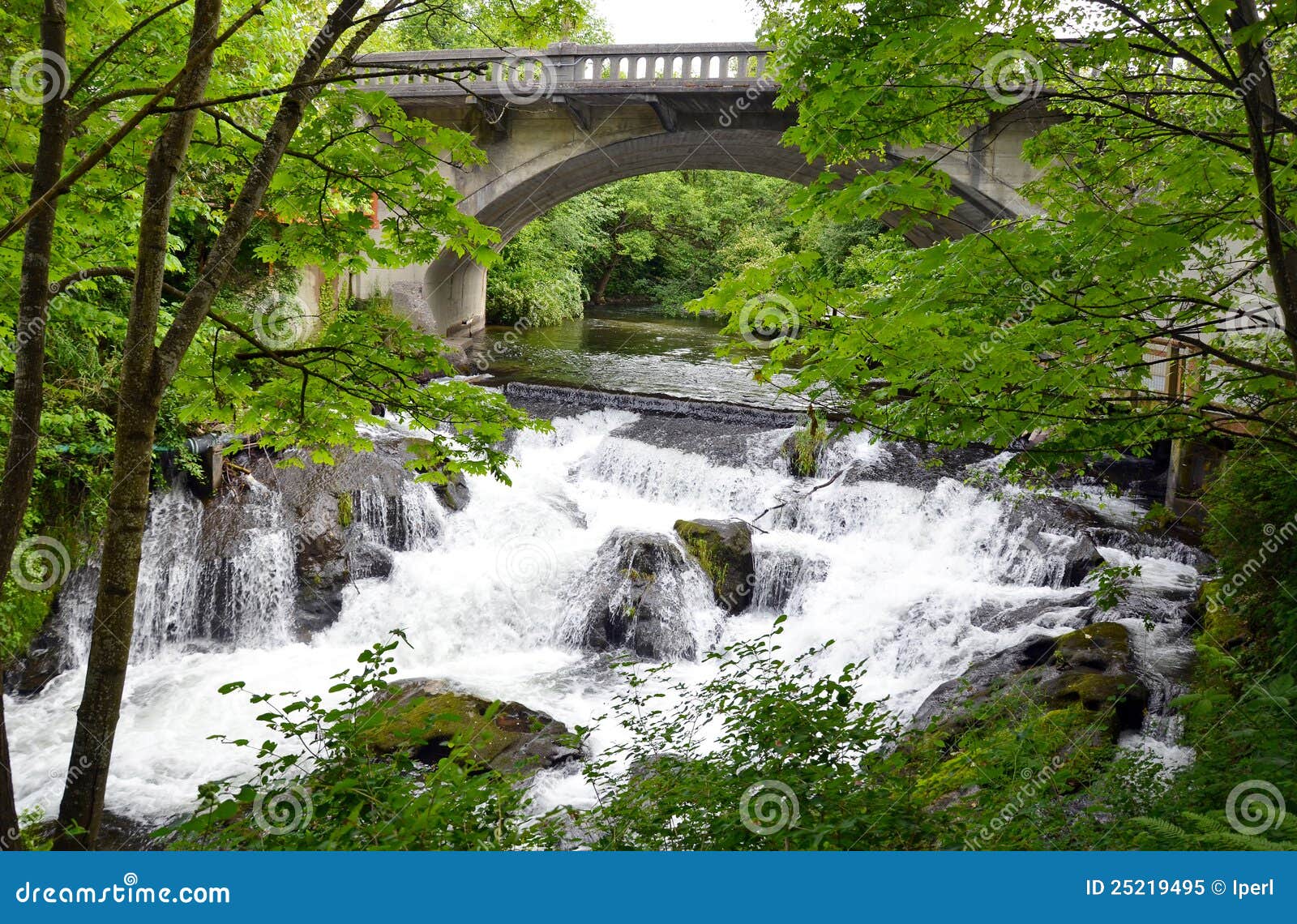 Bridge over waterfalls stock image. Image of foliage - 25219495