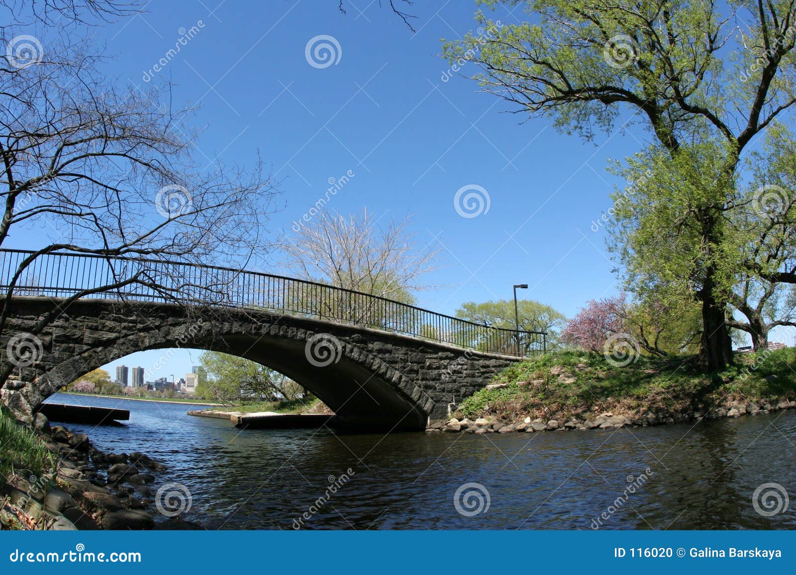 Bridge in a park stock photo. Image of land, countryside - 116020