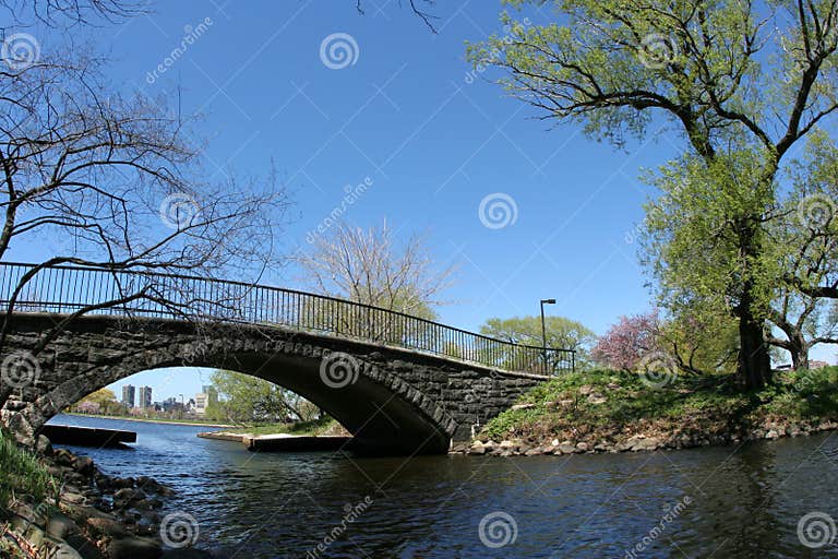 Bridge in a park stock photo. Image of land, countryside - 116020