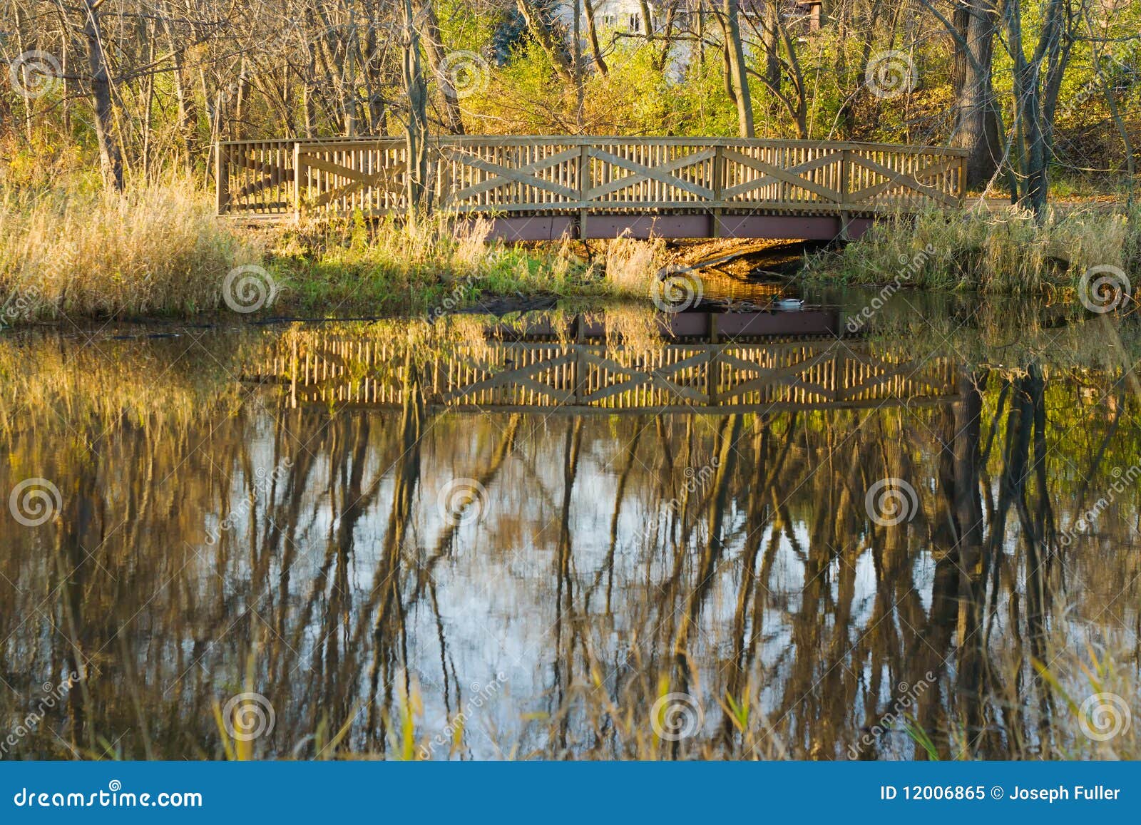 Bridge at the Park. stock image. Image of park, paths - 12006865
