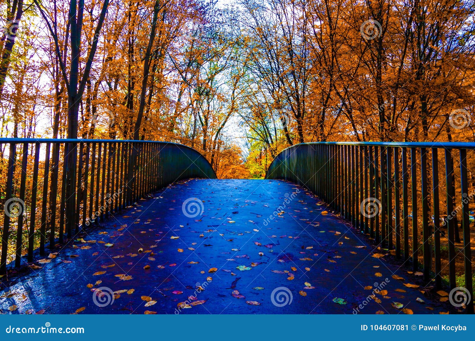 A bridge in park stock image. Image of park, colors - 104607081