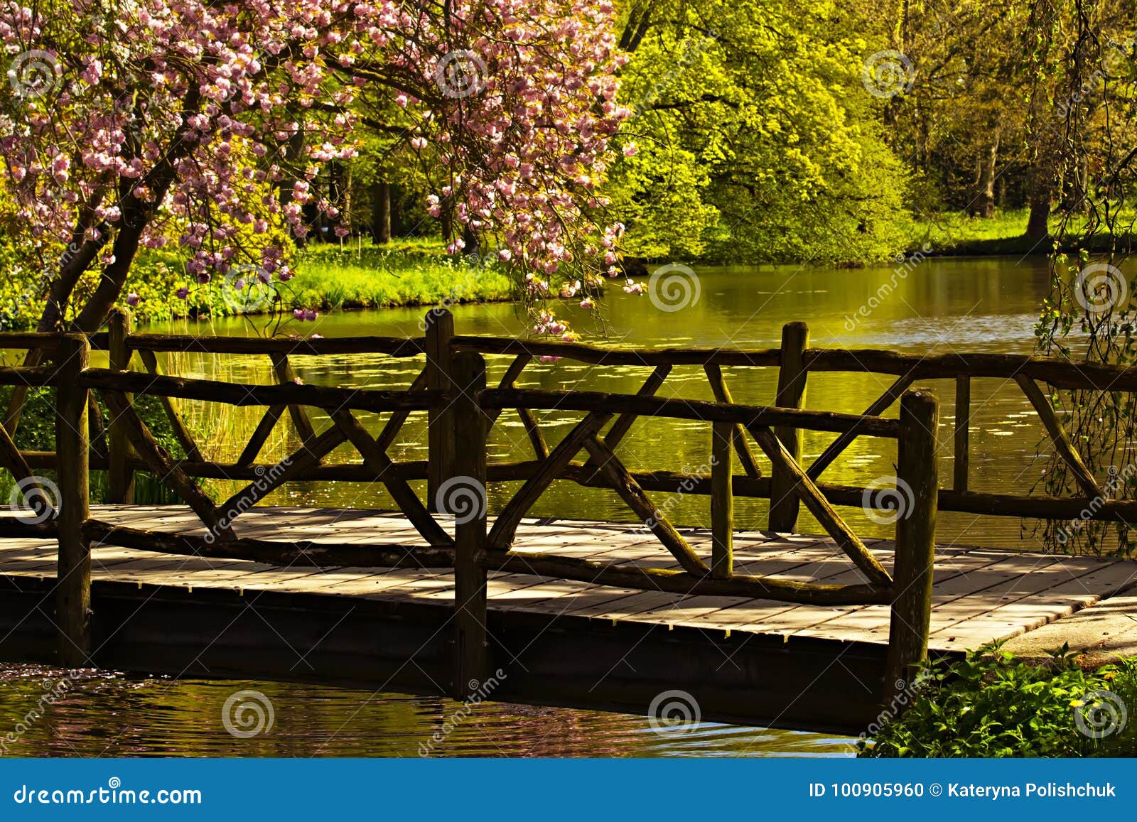 Bridge in the park stock photo. Image of fresh, pond - 100905960