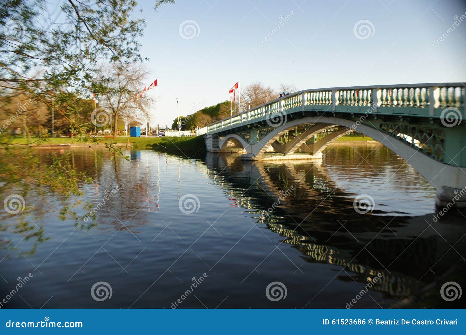 Bridge in the park stock photo. Image of park, bridge - 61523686