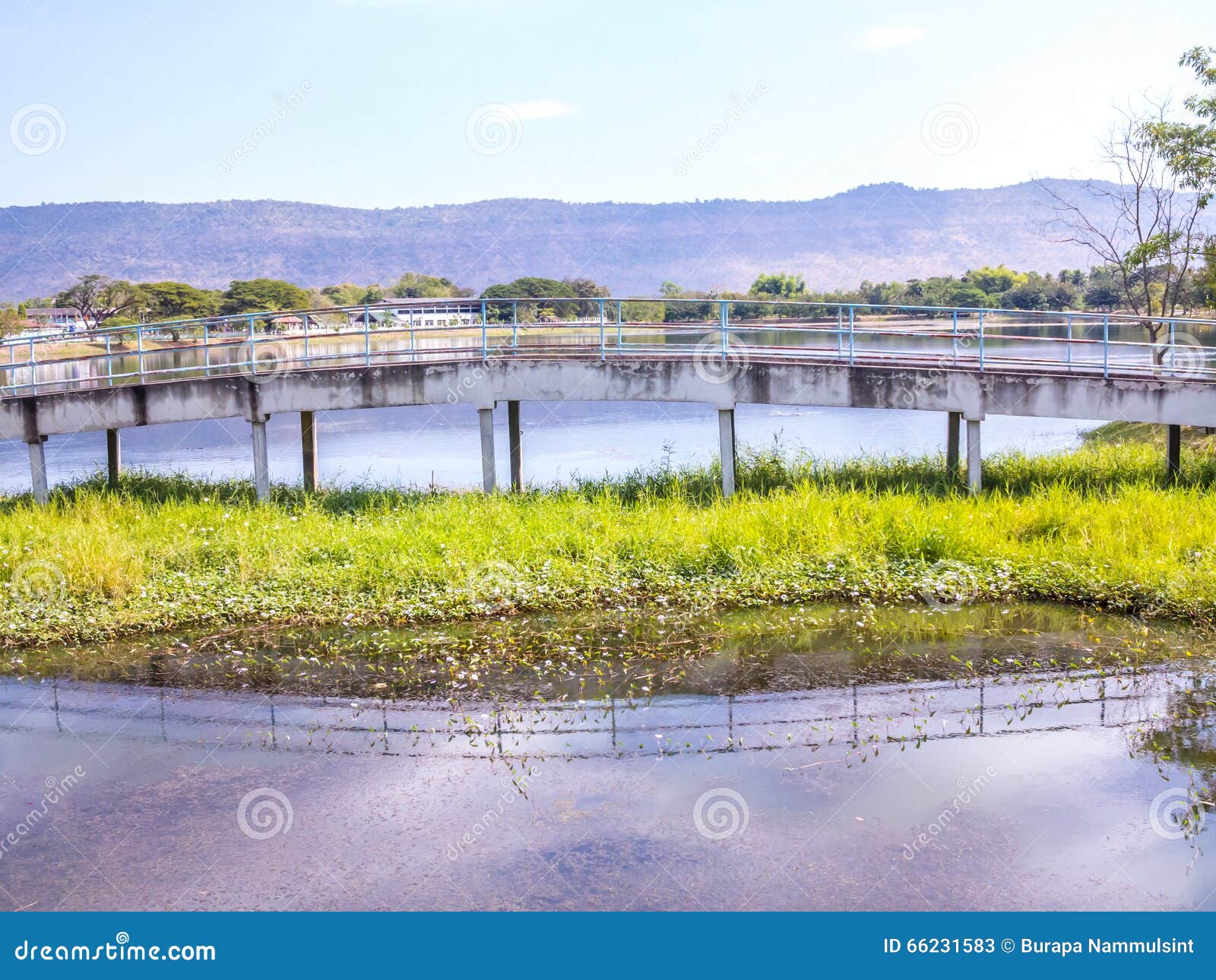 Bridge in park. stock image. Image of blue, swamp, landscape - 66231583