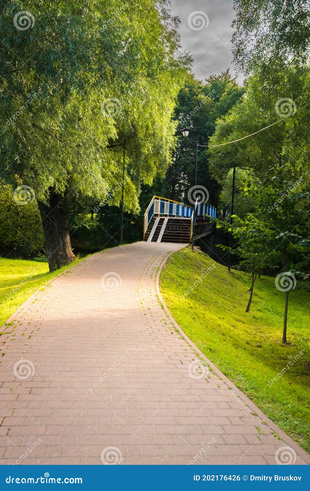 Bridge in the park stock photo. Image of sunlight, view - 202176426