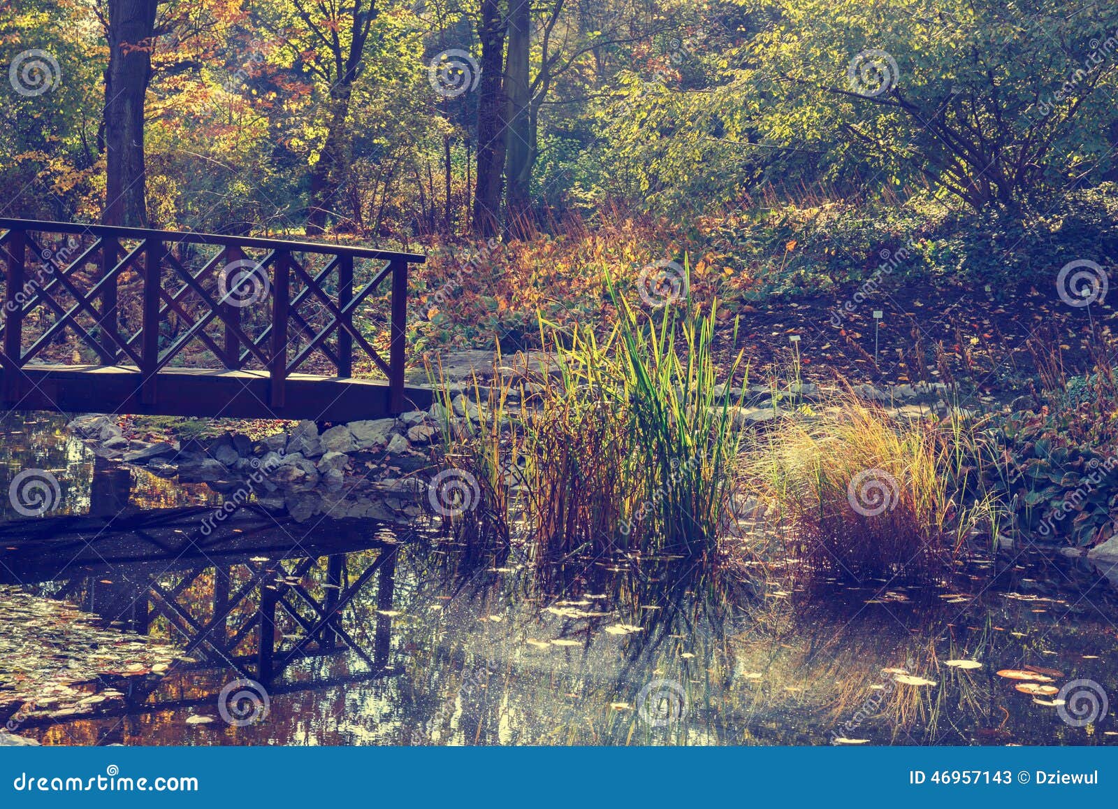 Bridge in the park stock image. Image of nature, bridge - 46957143