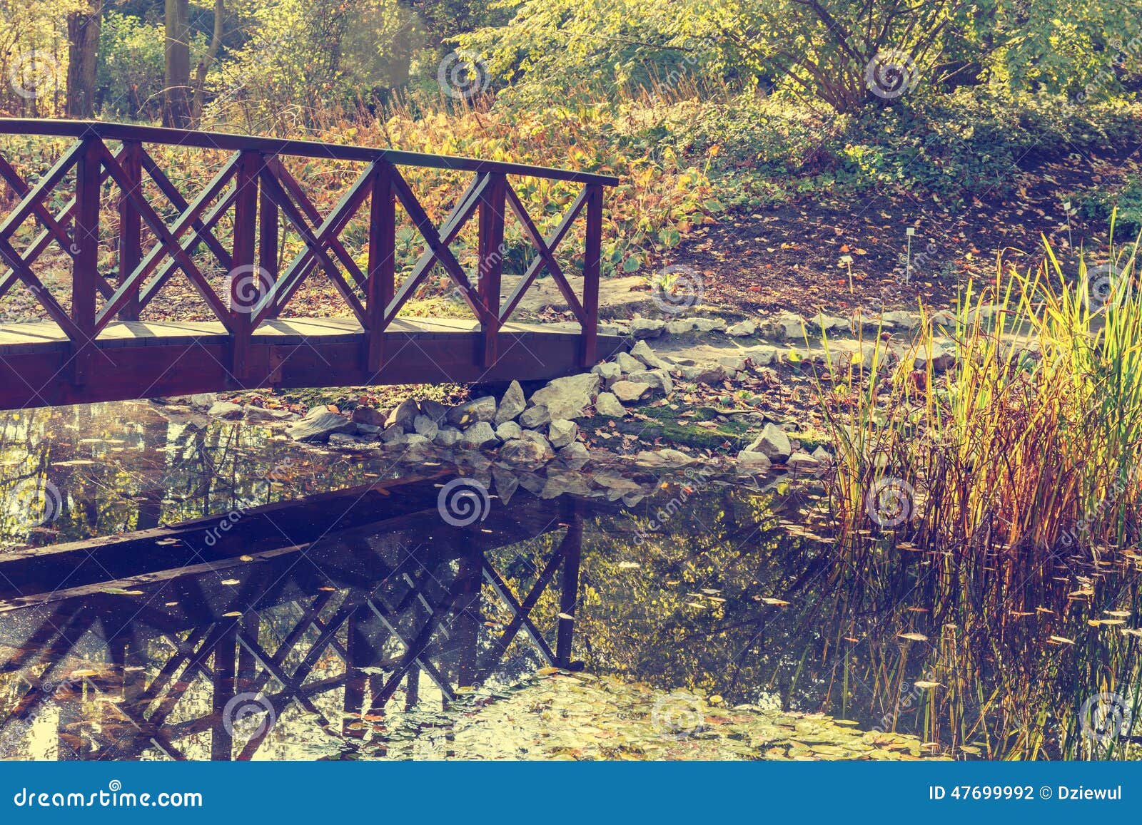 Bridge in the park stock photo. Image of fall, bridge - 47699992