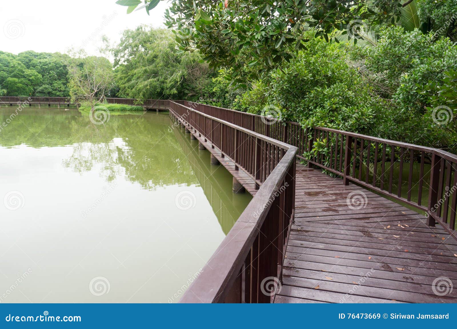 Bridge stock image. Image of scene, algae, bridge, green - 76473669