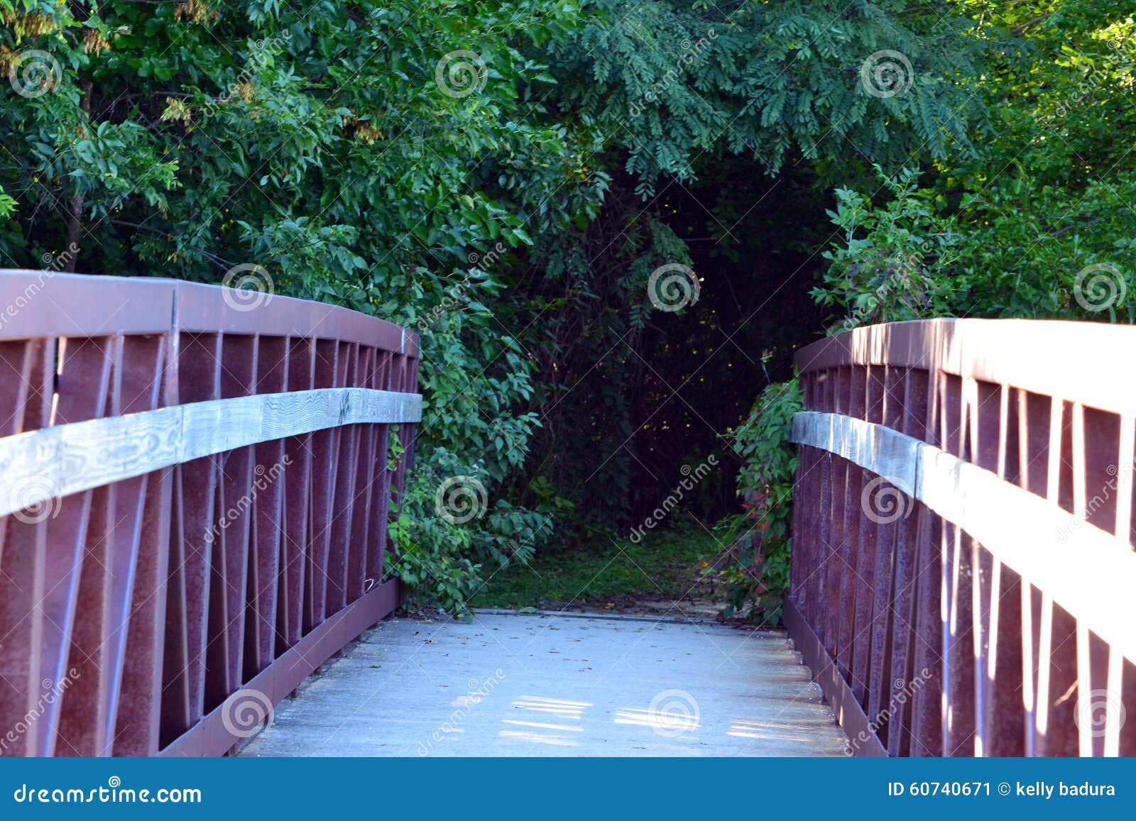 Bridge path stock image. Image of path, bridge, leading - 60740671
