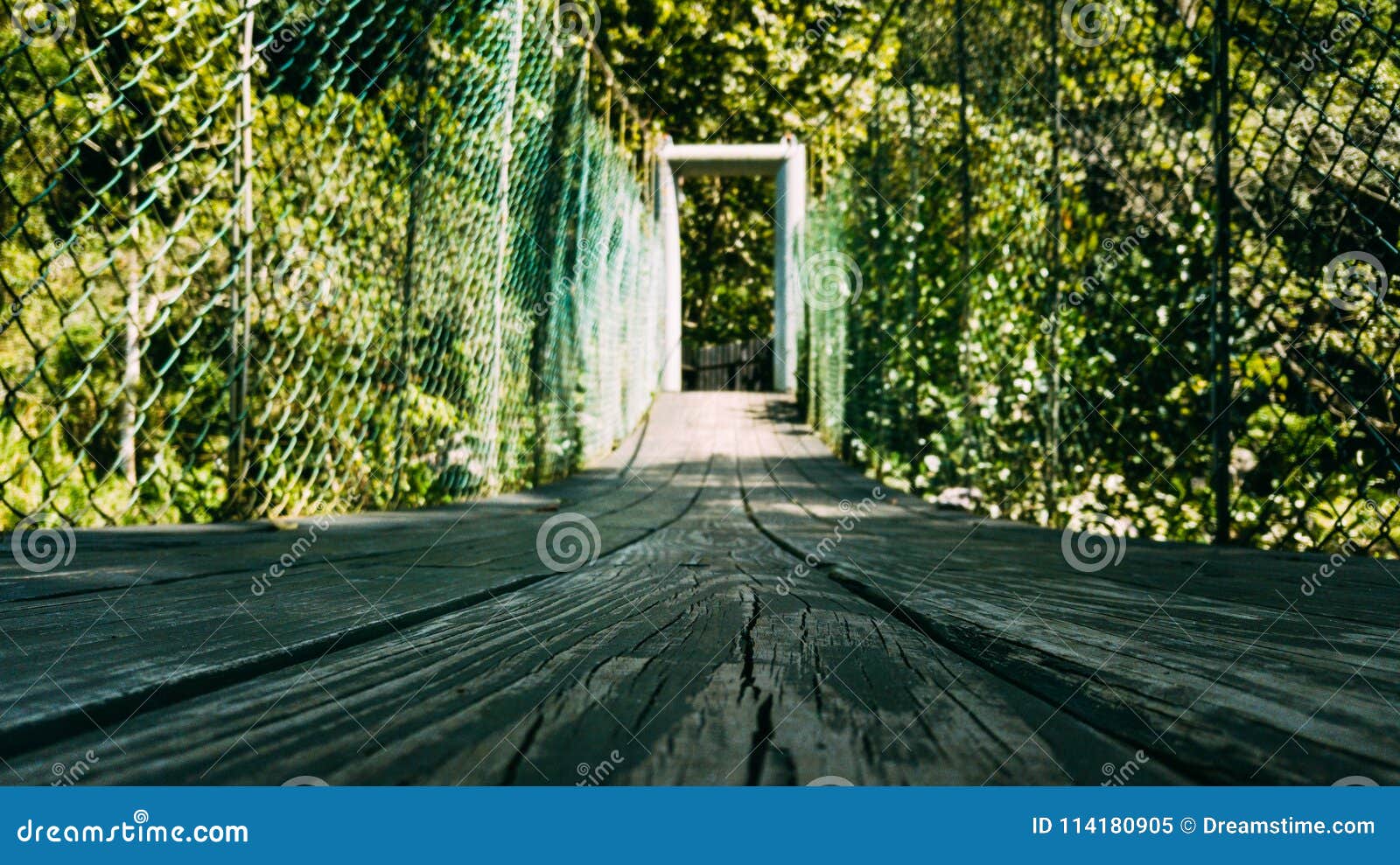 Bridge. Path to exit stock image. Image of long, gate - 114180905