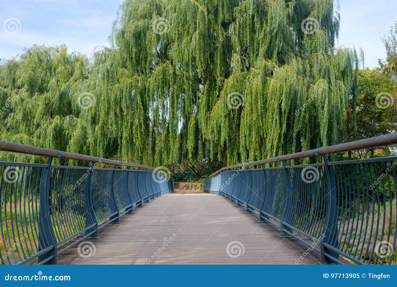 Bridge path with trees stock image. Image of botanical - 97713905