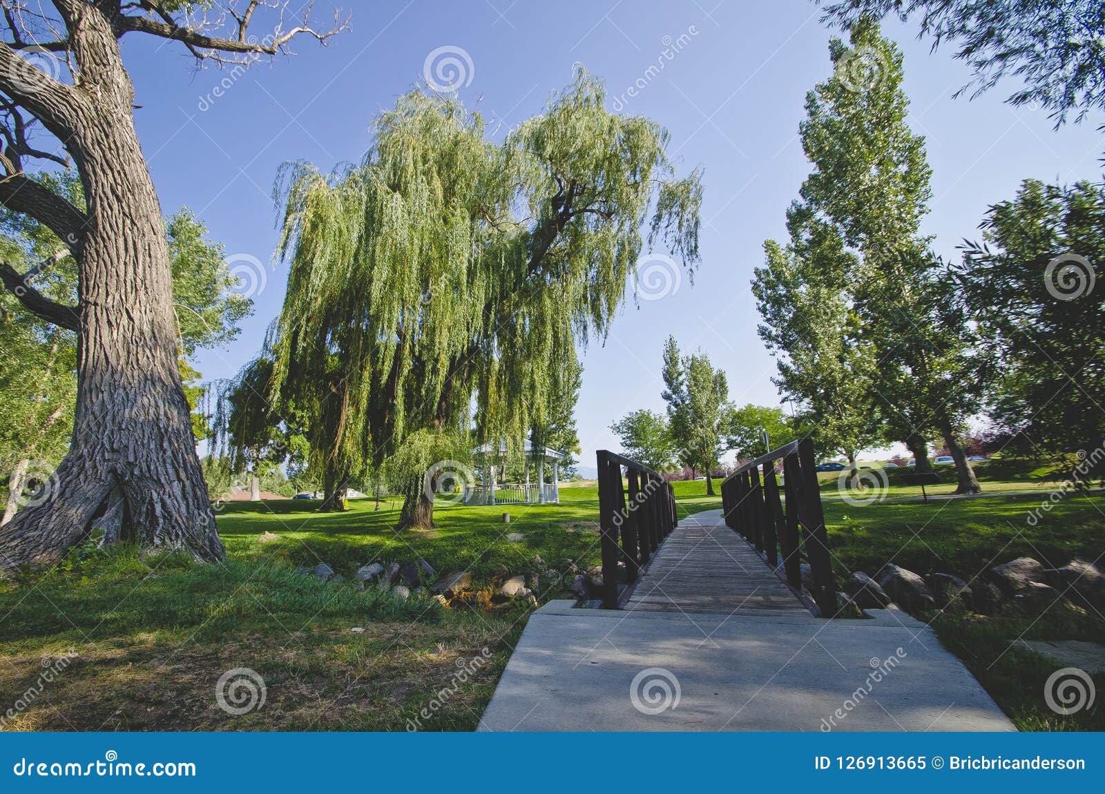 The Bridge Path and Trees in the Park during Summer Stock Image - Image ...