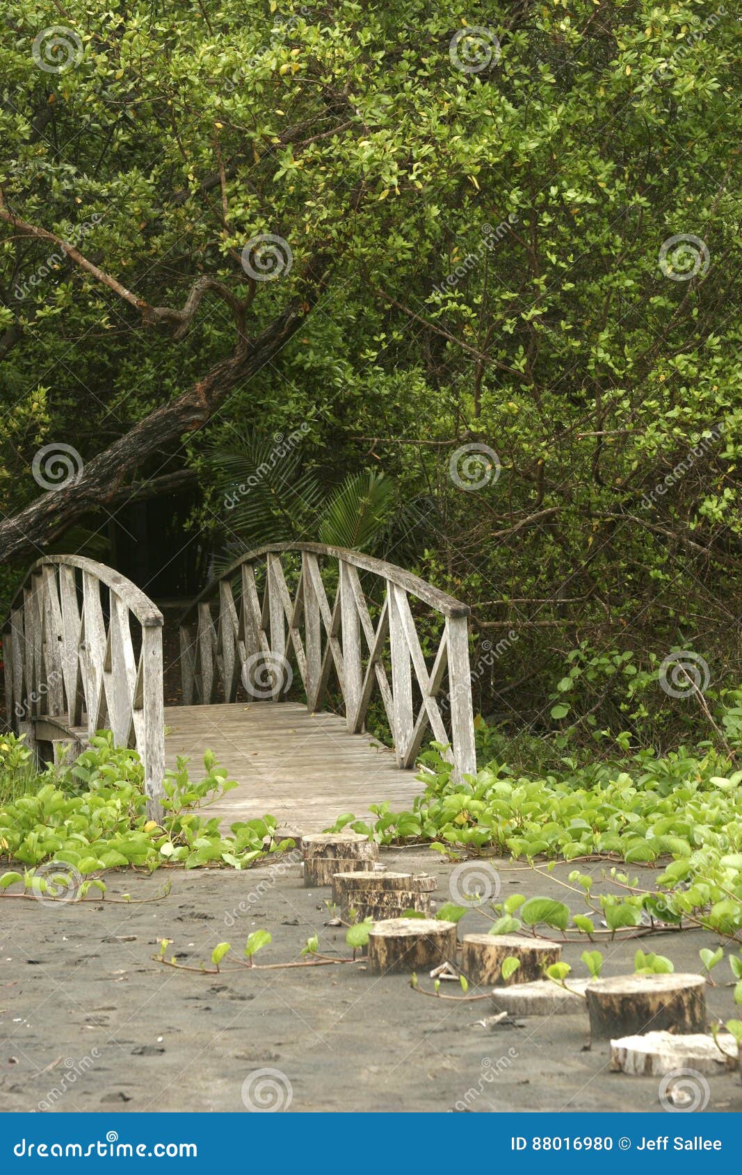 Bridge Pathway stock photo. Image of steps, pathway, hiking - 88016980