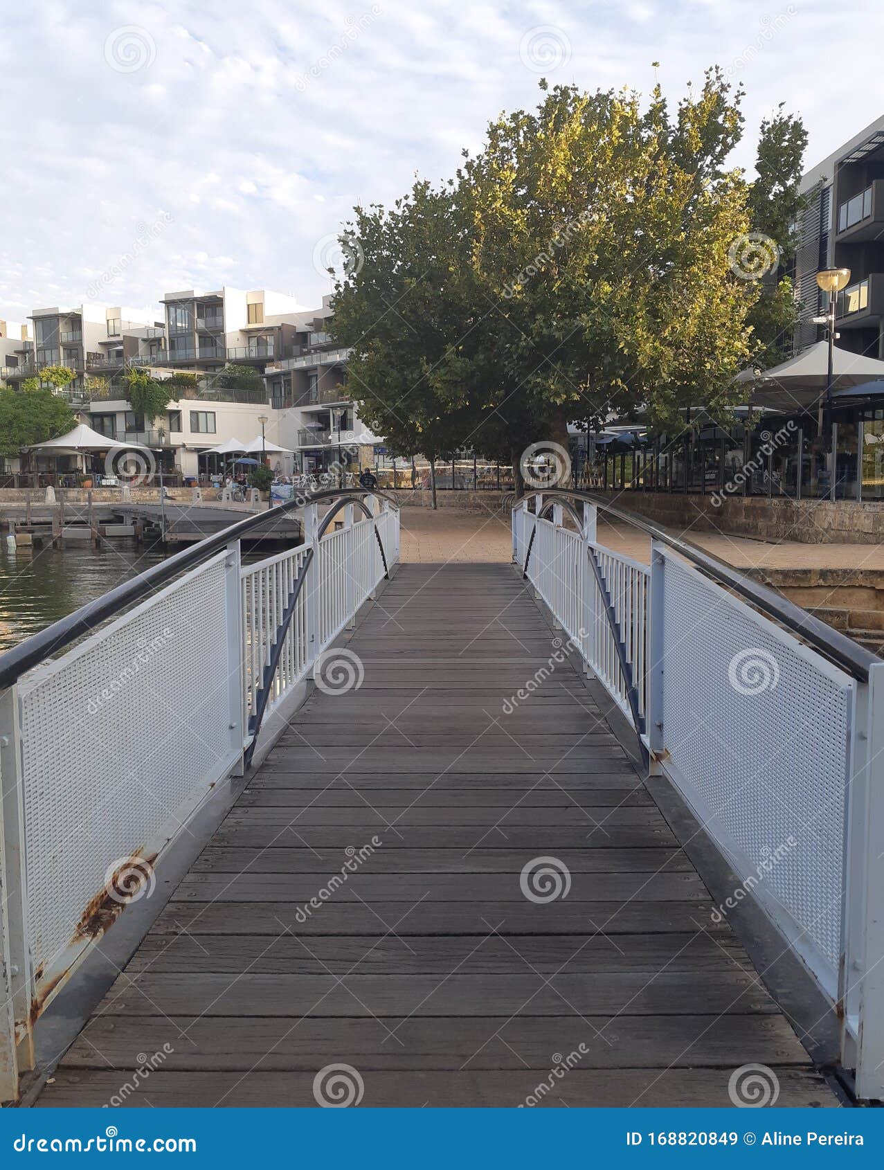Bridge in Perth stock image. Image of tree, australia - 168820849
